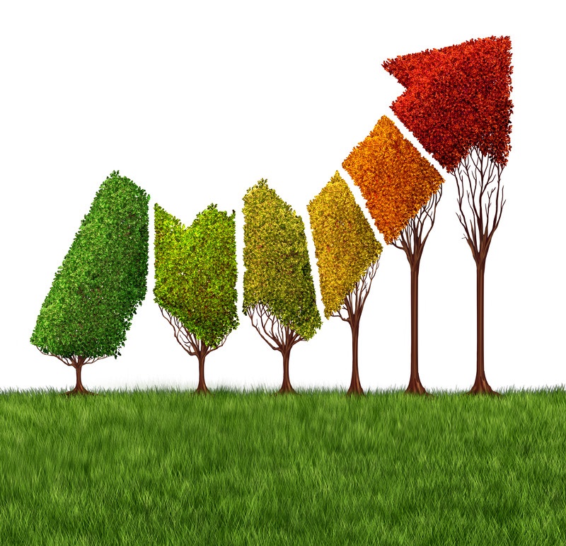 Seasons Come And Seasons Go